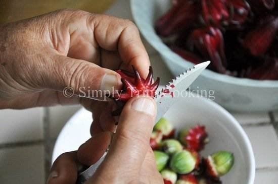 Sorrel Kuchela: Another great way to enjoy kuchela