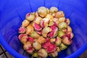 Guava Wine : Delightful Guava Fruitiness In A Glass