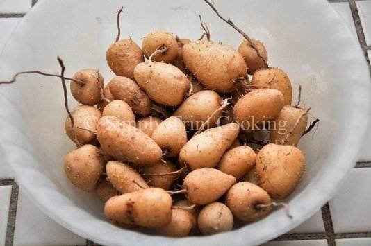 Topi Tambo Souse : Truly Tantalizing