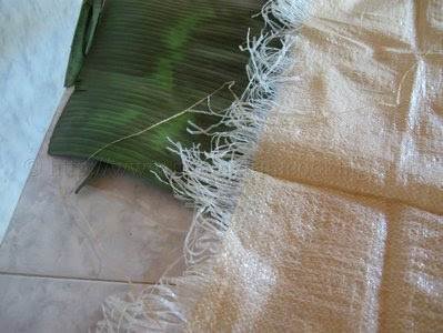 Soya Pastelle