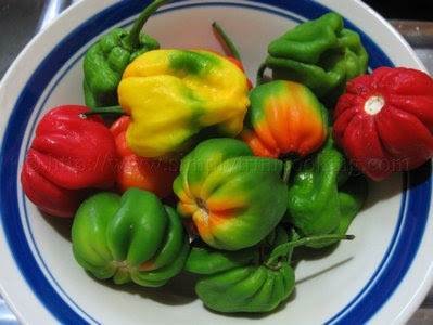 Lime Pepper Sauce: The Best way to serve pepper