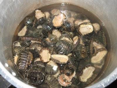 Pacro Water: The fishermen's Favourite energizer