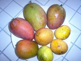 About Mangoes